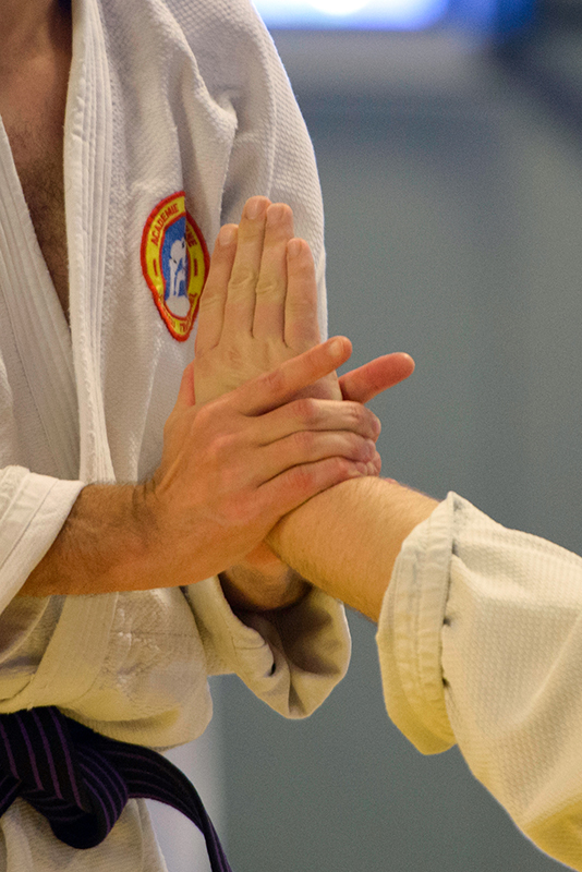 IWO18 0020 | WaJutsu Petit-Couronne (76) – Club de JuJitsu Traditionnel ...
